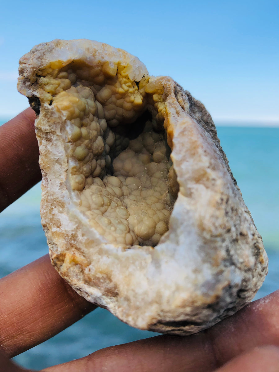 Honey Botryoidal Chalcedony Geode – All of The Ologies Inc